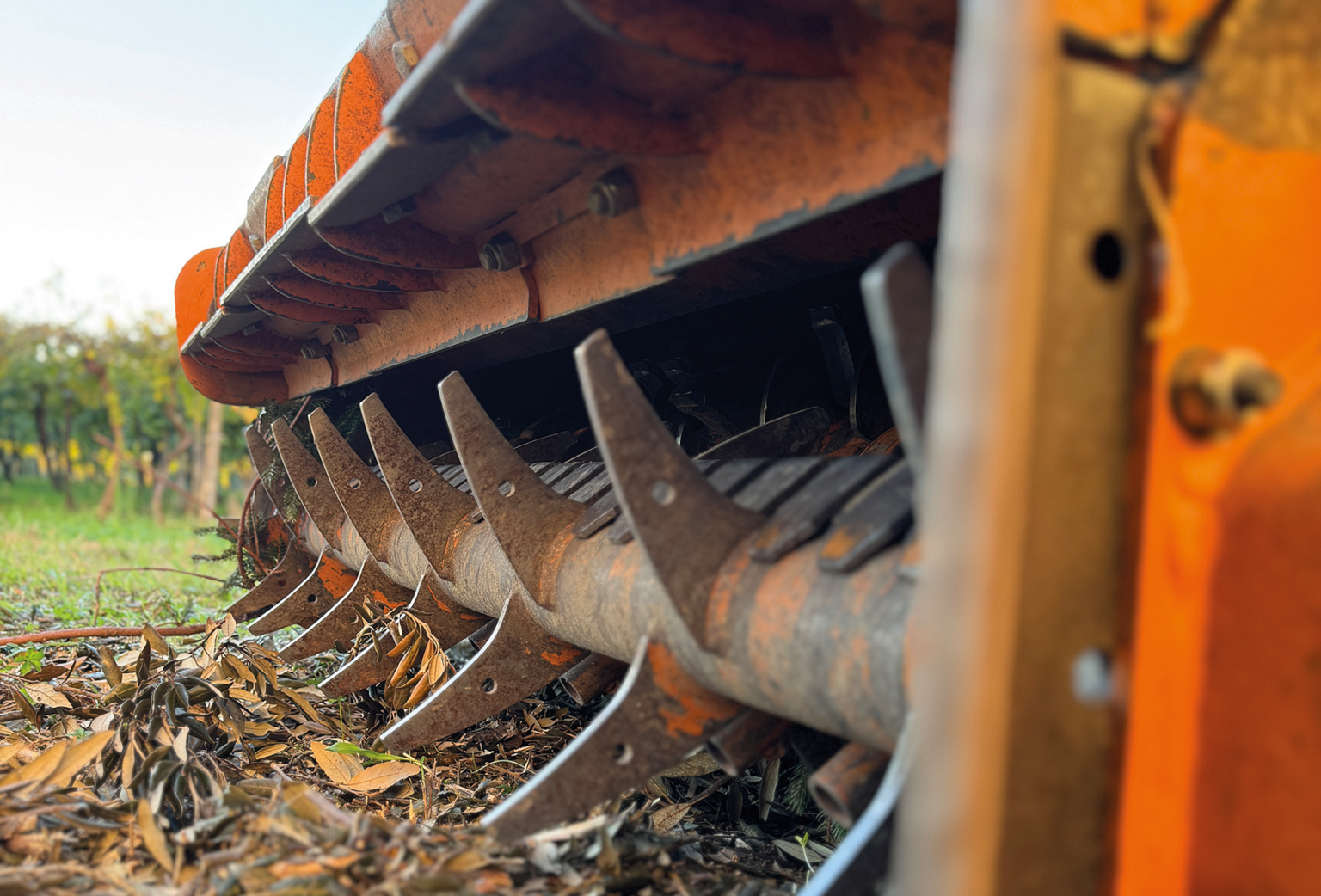 Mulcher with “Pick-Up” systems | BERTI